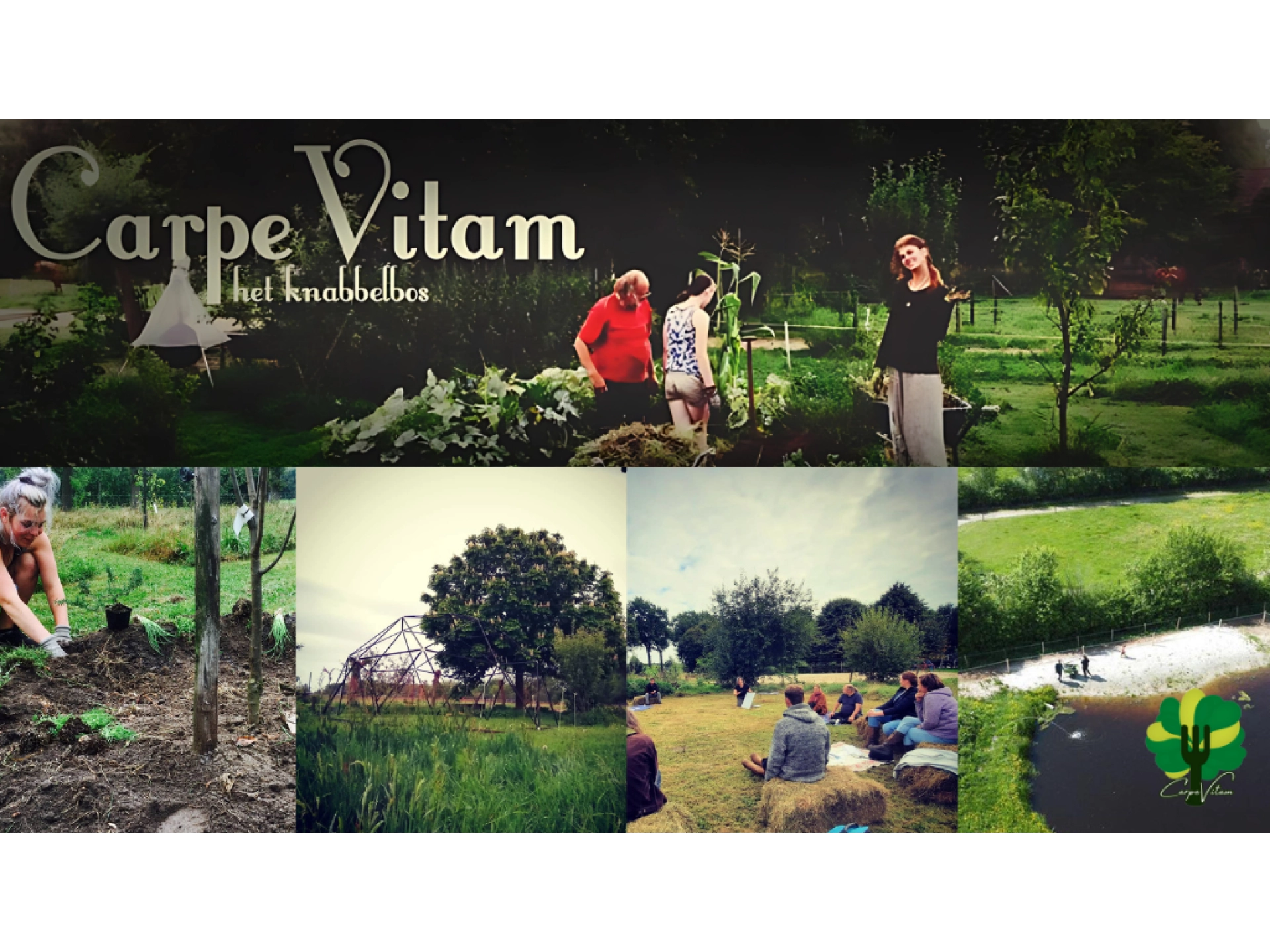 Carpe Vitam, het knabbelbos